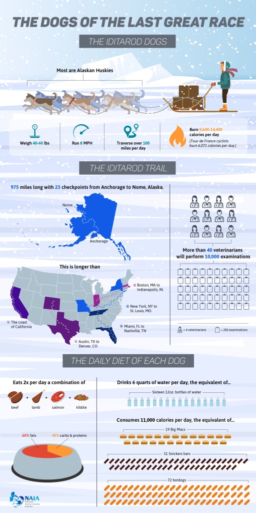 NAIA Applauds the Iditarod! | NAIA Official Blog